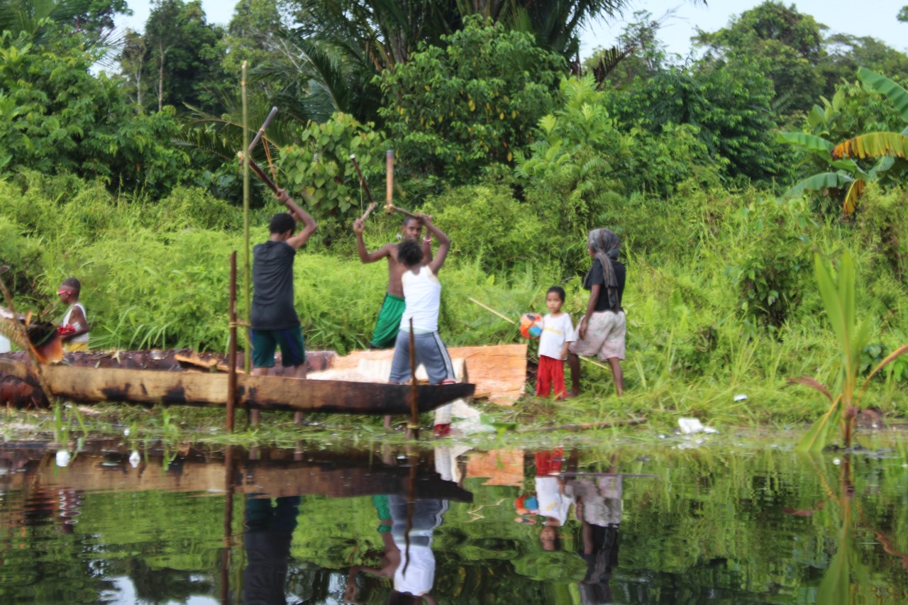 Indonesia Miliki Lahan Sagu Terbesar di Dunia, namun Pemasok Terbesar ...